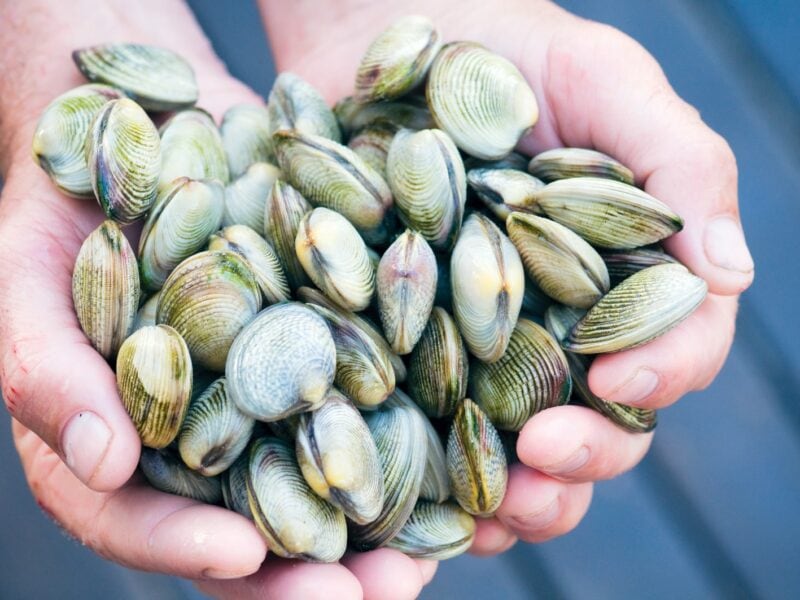 Coffin Bay | Eyre Peninsula, South Australia