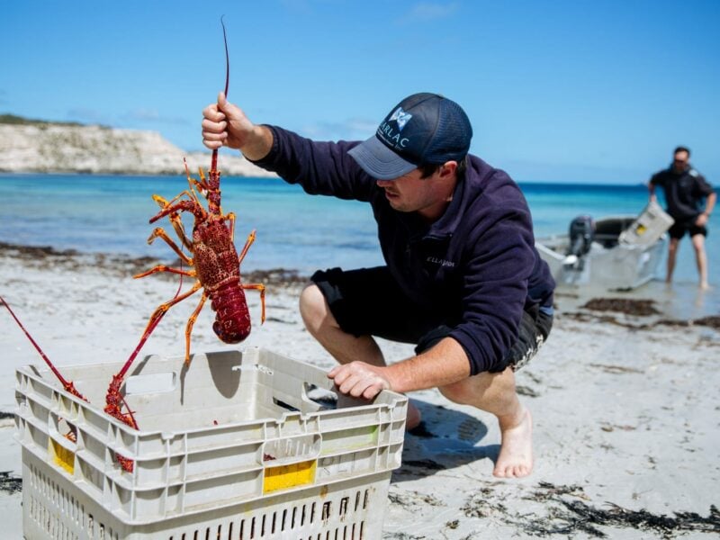 Recreational Fishing | Port Lincoln, South Australia