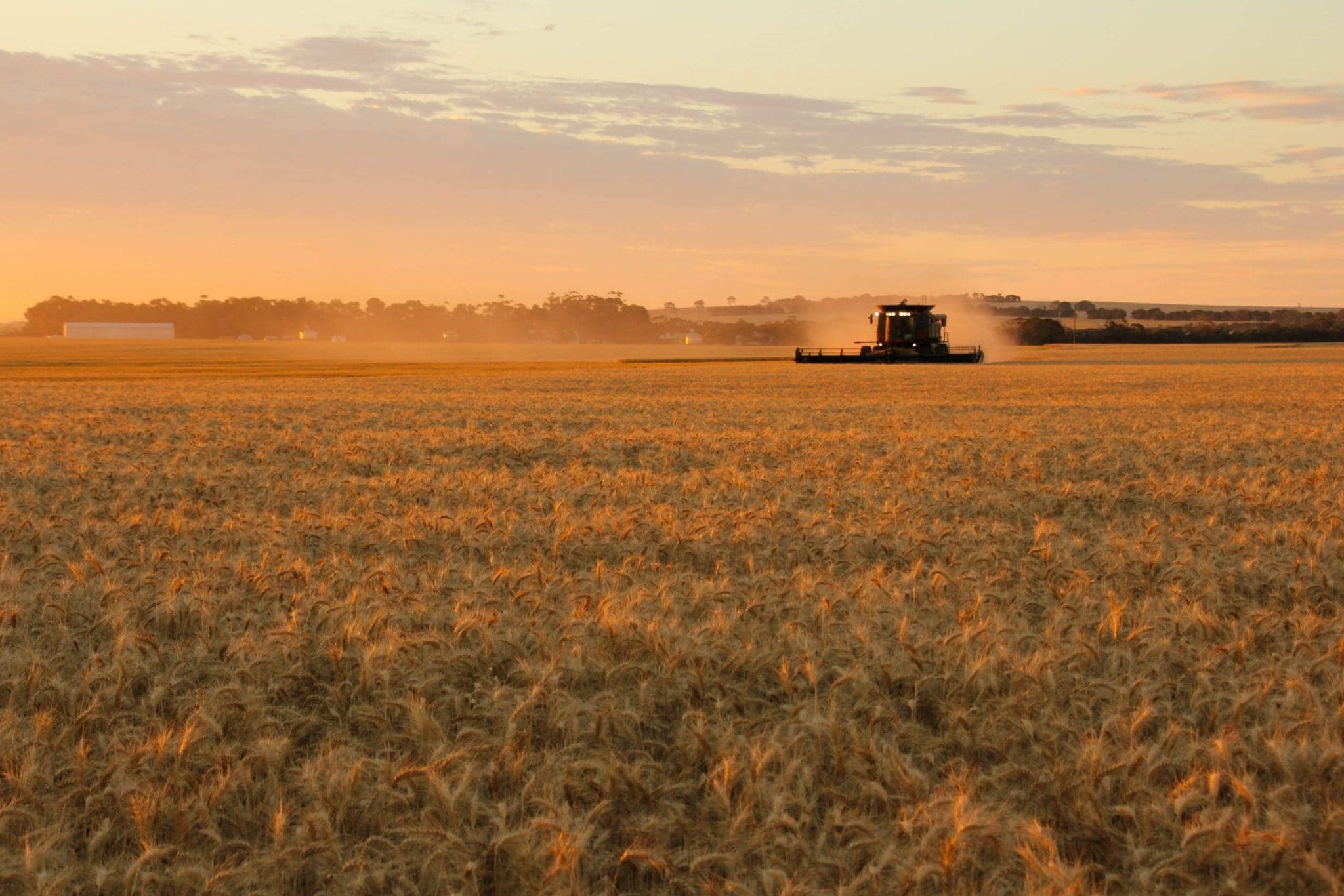 Cummins | Eyre Peninsula, South Australia